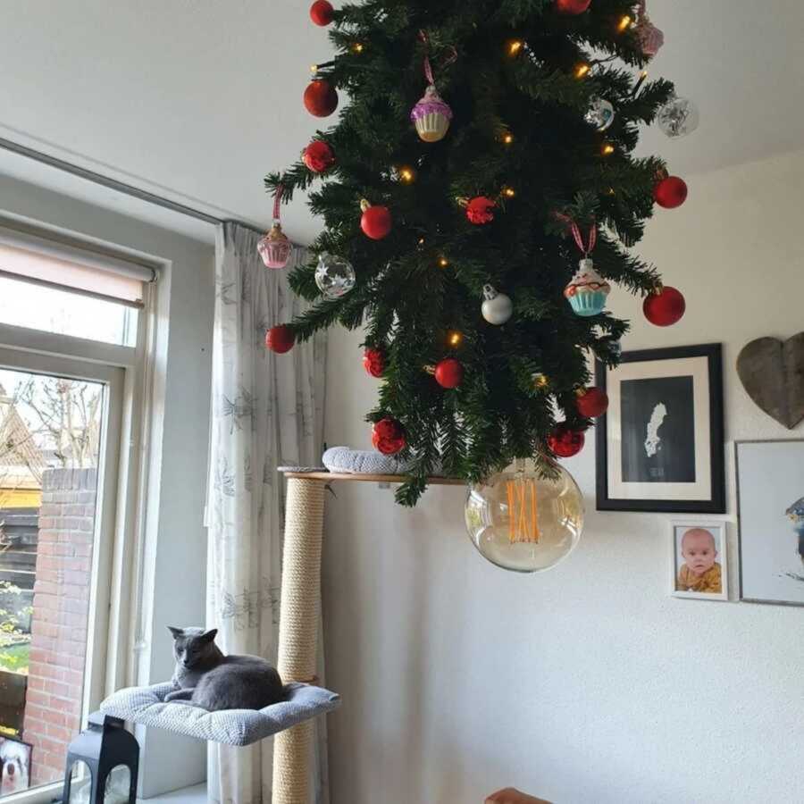 15 Hilariously Pet-Proofed Christmas Trees To Make You Smile – Love ...